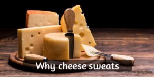 Here's Exactly Why Cheese Stinks So Bad (+How To Tell When It's Gone ...