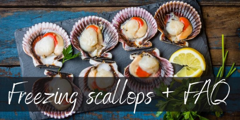 Can You Freeze Scallops ? Here's How To Do It Right (+FAQ) - Foodiosity
