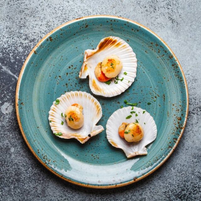 What Is Scallop Roe, And What Can You Do With It ? Can You Eat It ...