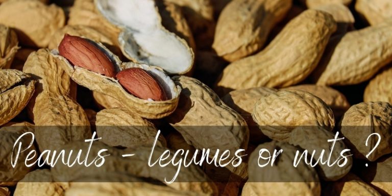 Are Peanuts Legumes Or Nuts ? Culinary VS Botanical Nuts - Foodiosity