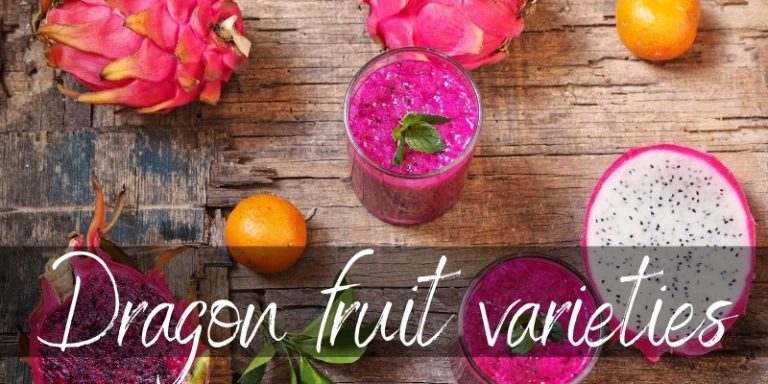 Here's All The Dragon Fruit Types Out There - Foodiosity