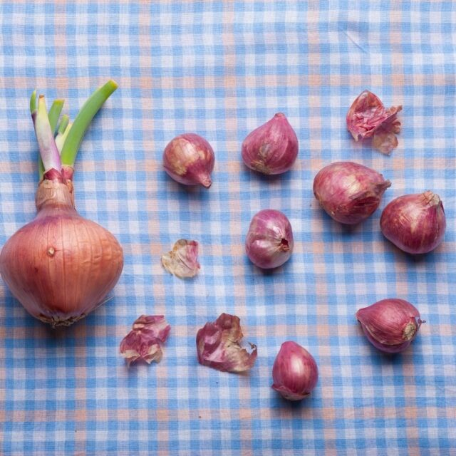 What Do Shallots Taste Like, And What Can You Swap Them For ? - Foodiosity