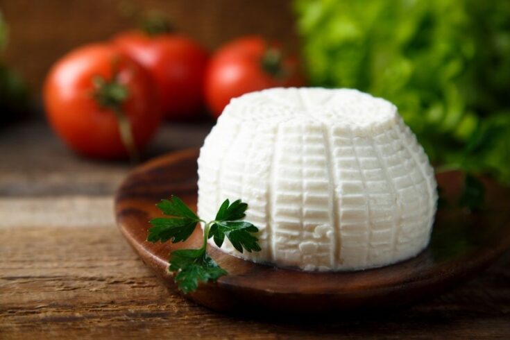Best Mozzarella Substitutes - 18 Ideas To Try - Foodiosity