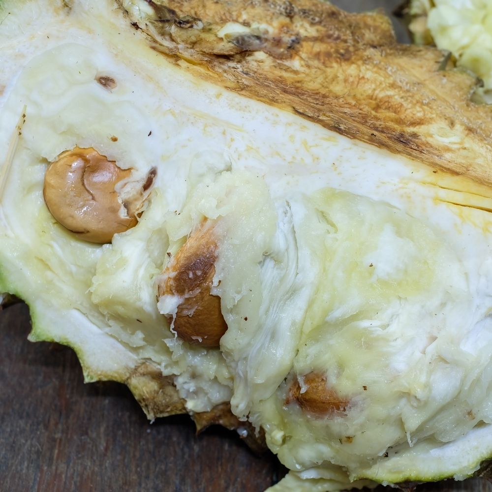 How To Tell If Durian Is Rotten, So You Don't Waste Money - Foodiosity