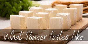 What Does Paneer Cheese Taste Like ? Here's What To Know - Foodiosity