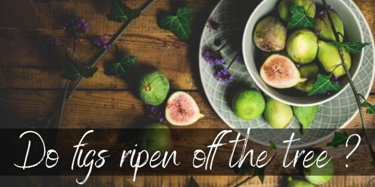 Why Are Figs So Expensive ? 3 Juicy Reasons - Foodiosity