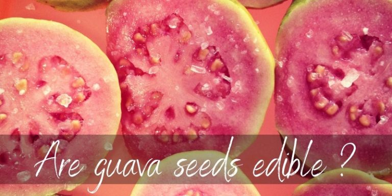 Are Guava Seeds Edible ? Here's What We Know - Foodiosity