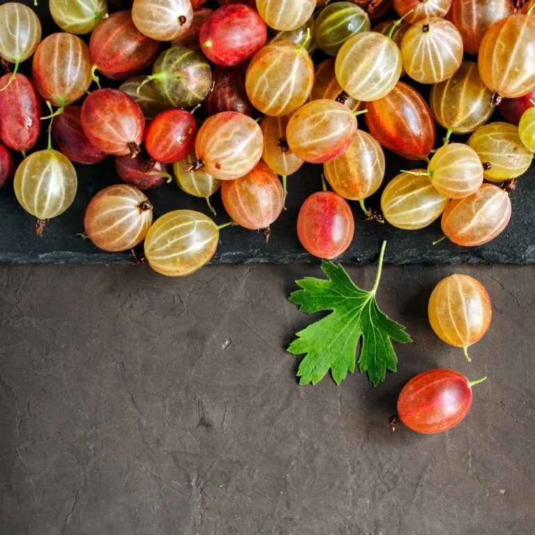 What Does Gooseberry Taste Like ? Here's What You Need To Know - Foodiosity