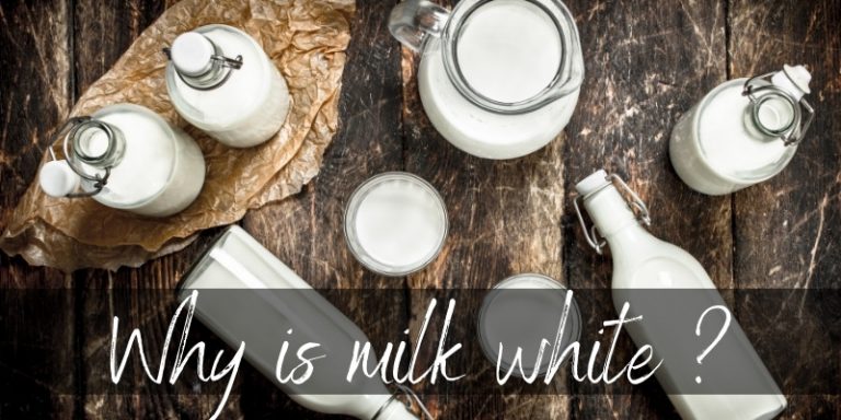 Why Is Milk White ? Light Plays A Big Part - Foodiosity