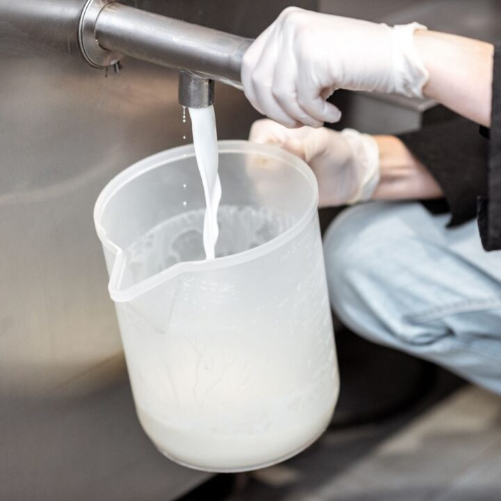 Why Is Milk White ? Light Plays A Big Part - Foodiosity