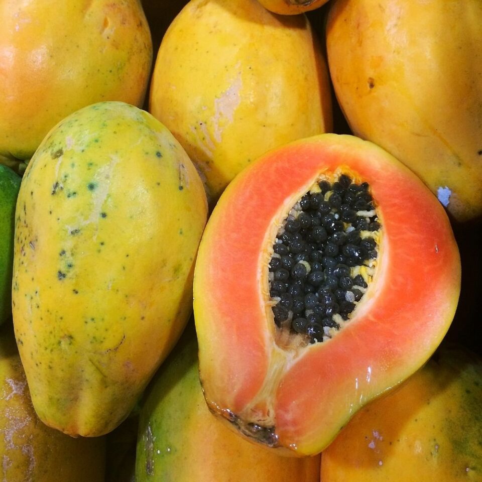 Why Is Papaya Bitter? How to Make It Sweet and Safe - Foodiosity