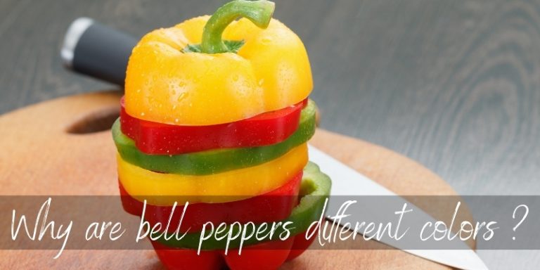 Why Are Bell Peppers Different Colors ? Here's What To Know - Foodiosity