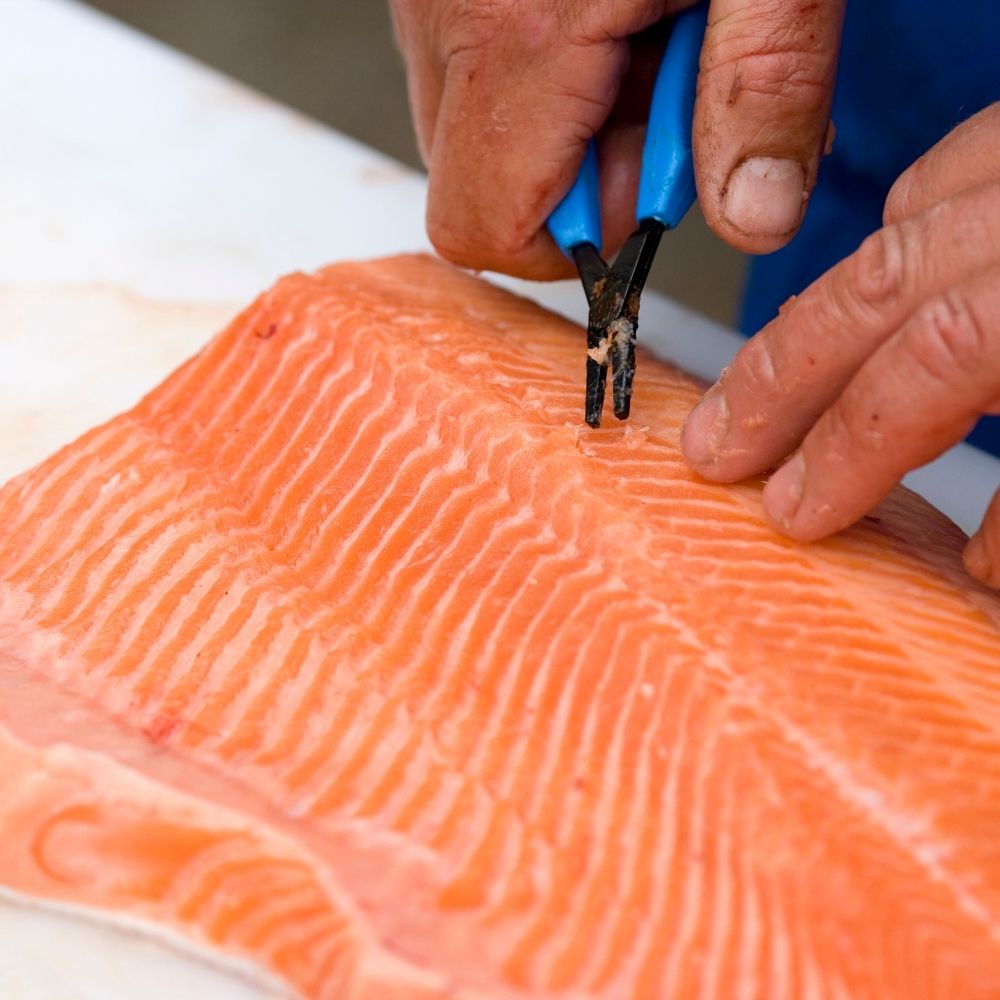 Does Salmon Have Bones Can You Eat Salmon Bones Foodiosity Does Salmon Have Bones Can You Eat Salmon Bones Foodiosity