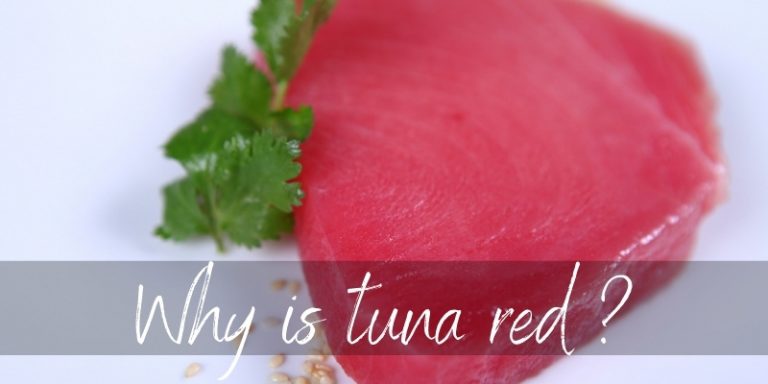 Why Is Tuna Red ? It's All To Do With Oxygen - Foodiosity