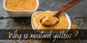 Why Is Mustard Yellow ? Here's The Real Thing - Foodiosity