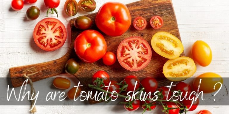 Why Are Tomato Skins Tough ? Can You Digest It Easily? - Foodiosity