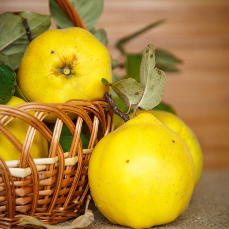 Can You Eat Quince Raw ? Here's How To Eat This Thing - Foodiosity