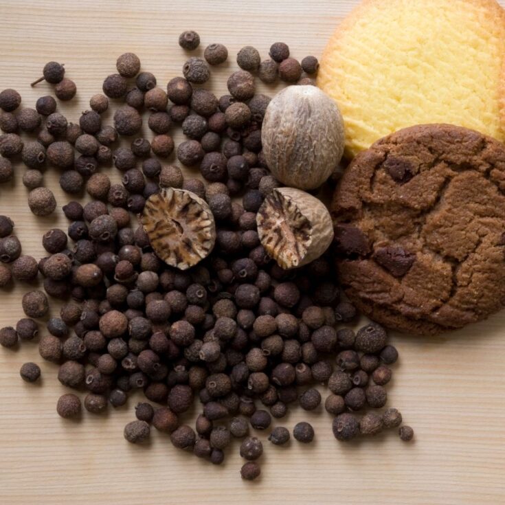 What Is Allspice Made Of ? Here's What It Really Is - Foodiosity