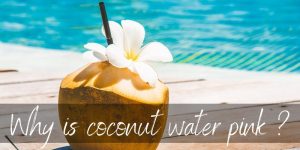 Why Is Coconut Water Pink ? Here's What's Going On - Foodiosity