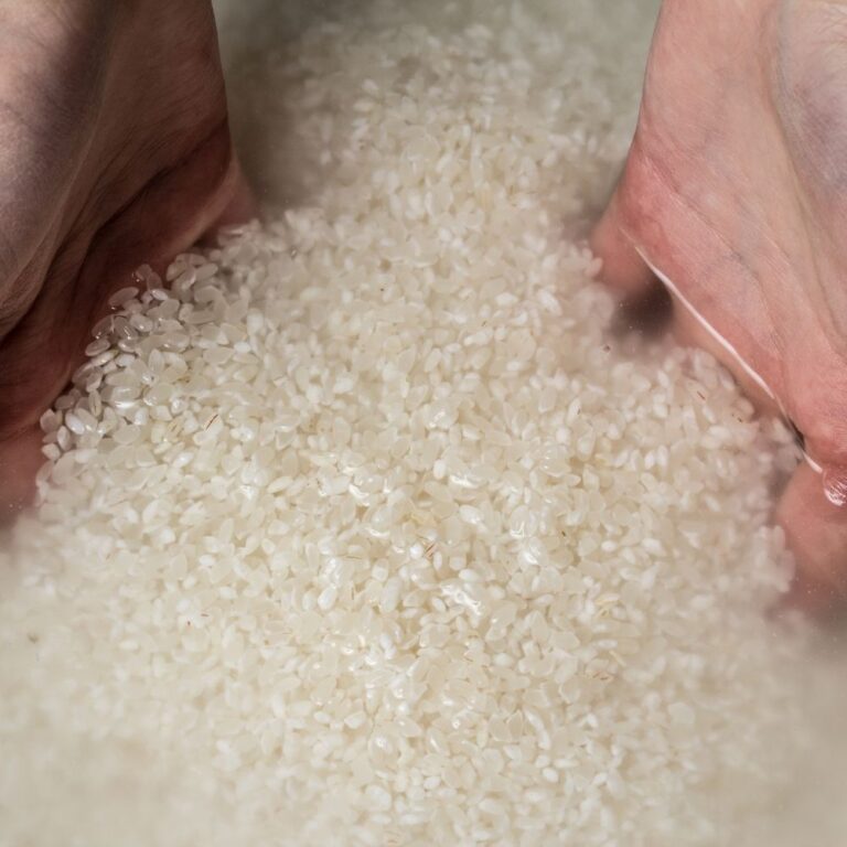 Why Is Rice White ? Here's How It Really Gets Its Color - Foodiosity