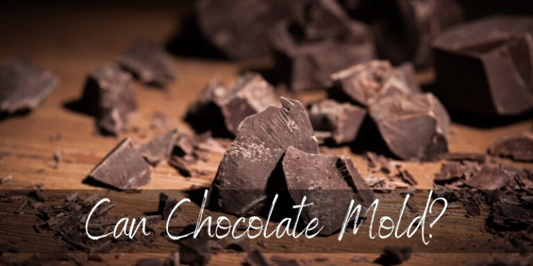 Can Chocolate Mold? Here's What's Really On Your Chocolate - Foodiosity