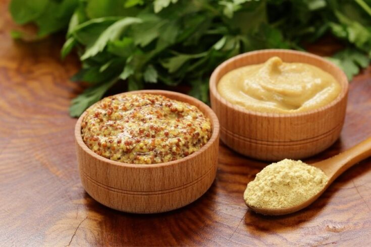 What Does Dijon Mustard Taste Like? - Foodiosity