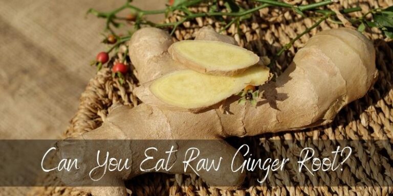 Can You Eat Raw Ginger Root? Here Are A Few Uses - Foodiosity