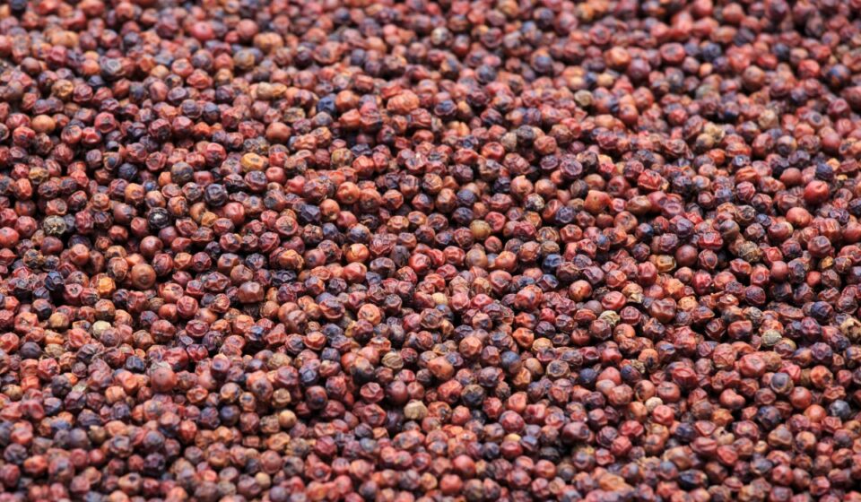 What Are Red Peppercorns? Flavor, Uses and Taste Guide - Foodiosity