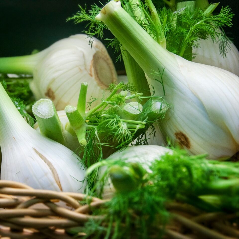 Vegetable facts Archives - Foodiosity