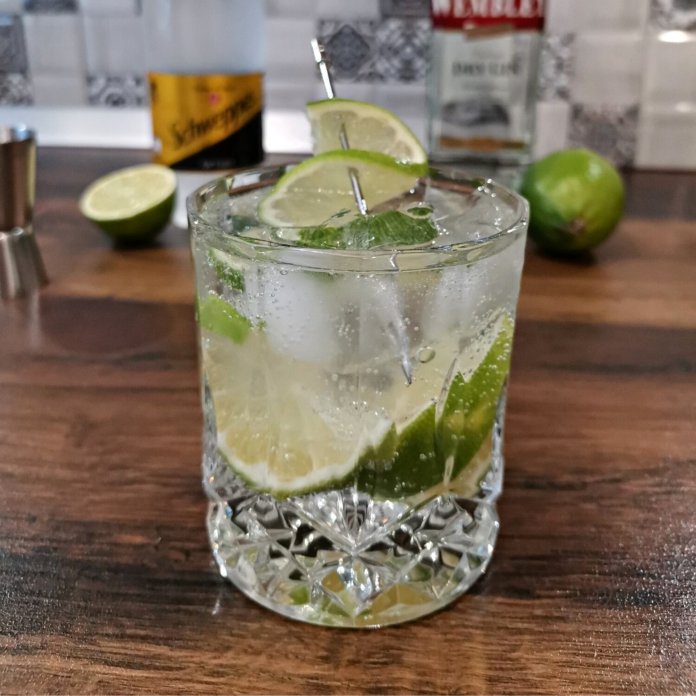 Gin Tonic Cocktail Recipe - Amazingly Simple 2 Ingredient Highball - Foodiosity