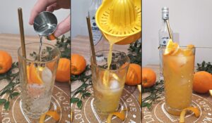 Screwdriver Cocktail Recipe - Foodiosity