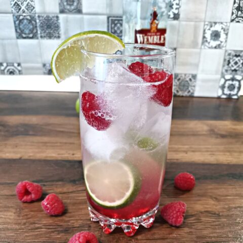 Raspberry Lime Rickey Cocktail Recipe - Foodiosity