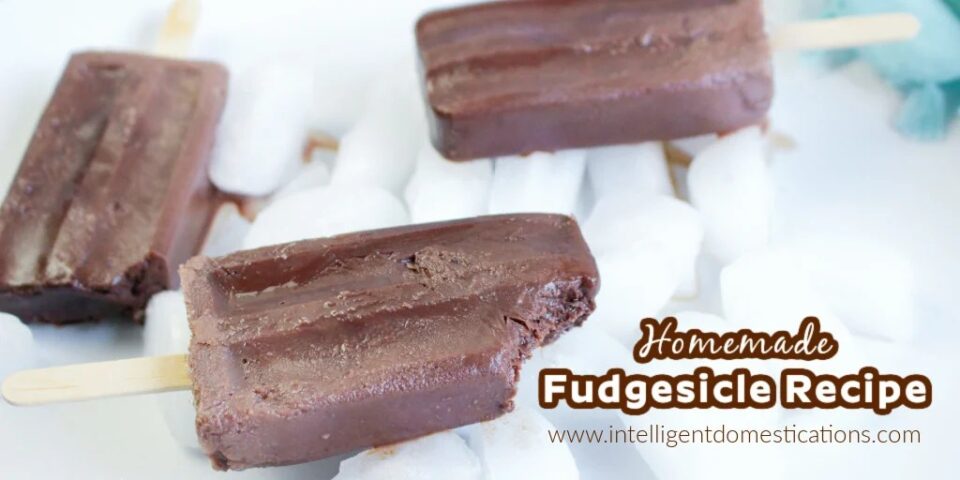 12 Popsicle Recipes - Easy Homemade Treats For This Summer - Foodiosity