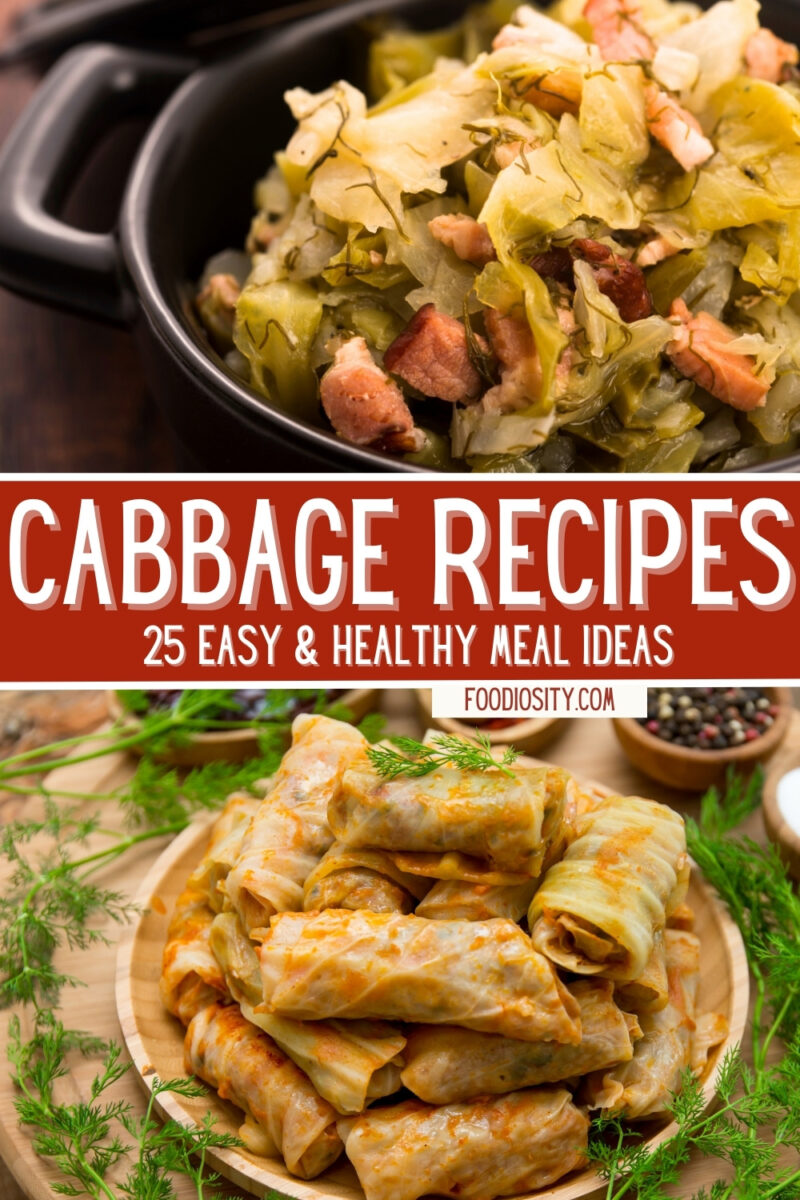 25 Cabbage Recipes - Easy & Healthy Meal Ideas - Foodiosity