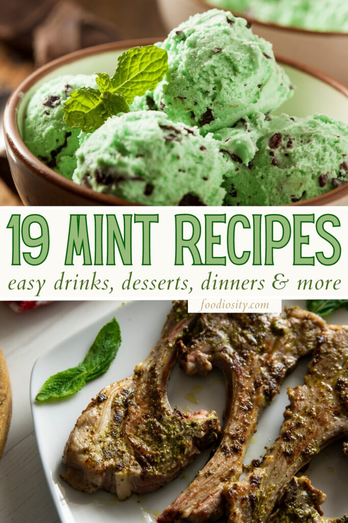 19 Mint Recipes - Easy Ideas for Fresh Mint - Foodiosity