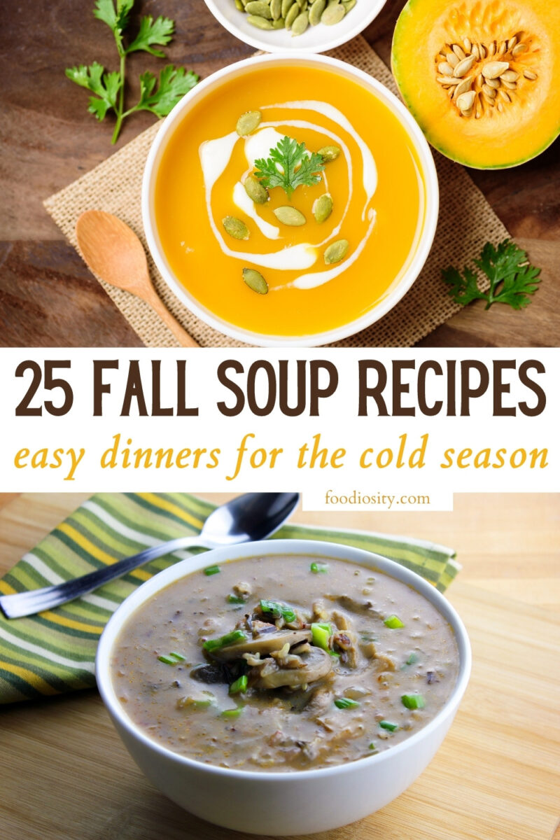 25 Fall Soup Recipes - Easy & Healthy Dinners - Foodiosity