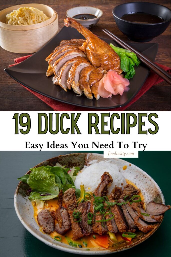 19 Duck Recipes - Easy Ideas You Need To Try - Foodiosity