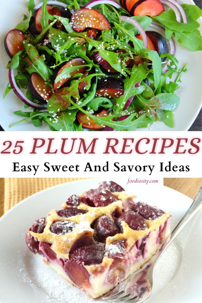 25 Plum Recipes - Easy Sweet And Savory Ideas - Foodiosity