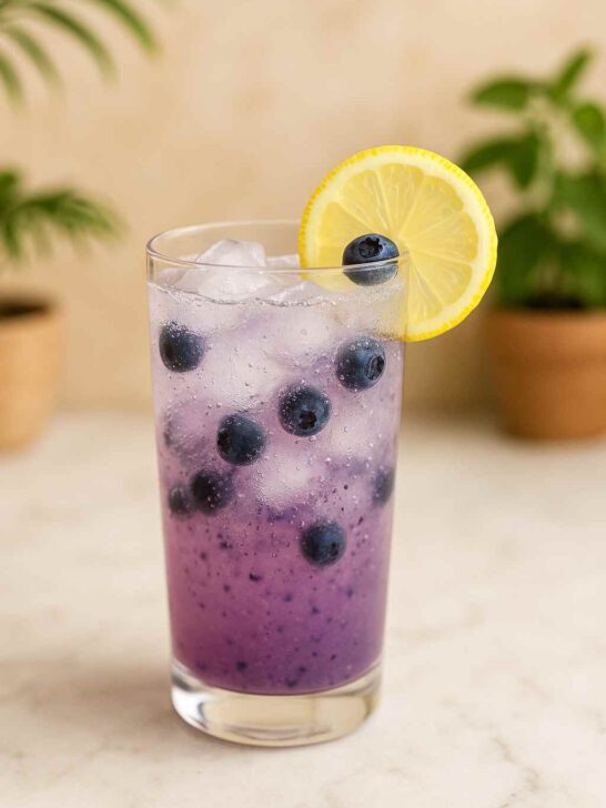 10 Refreshing Summer Virgin Cocktail Recipes for Everyone to Enjoy ...