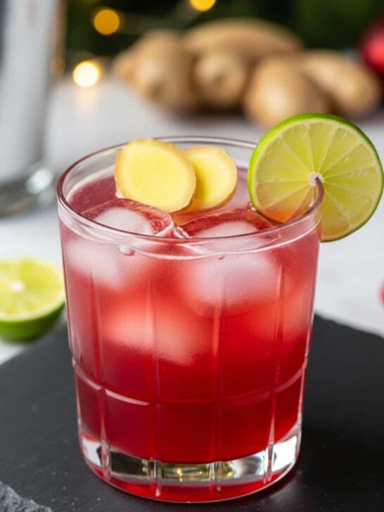 7 Refreshing Long Drink Cranberry Recipes for Sweet and Zesty Summer ...
