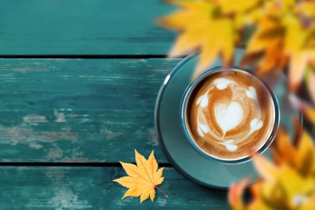 15 Fall Coffee Drinks That’ll Make Every Morning Feel Cozy - Foodiosity