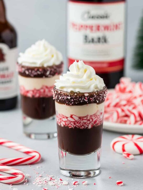 12 Christmas Shots Recipes to Light Up Your Holiday Party - Foodiosity