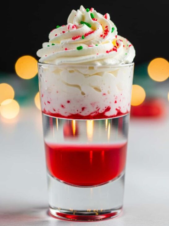 12 Christmas Shots Recipes to Light Up Your Holiday Party - Foodiosity