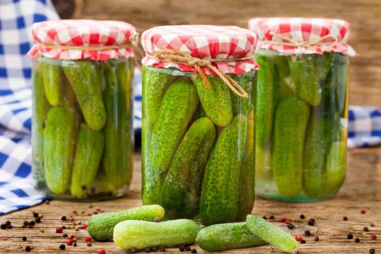 10 Easy Christmas Pickle Recipe Everyone Will Love - Foodiosity