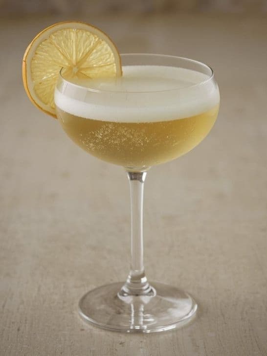 10 Easy Gibson Cocktail Recipe Ideas to Make Like a Pro - Foodiosity