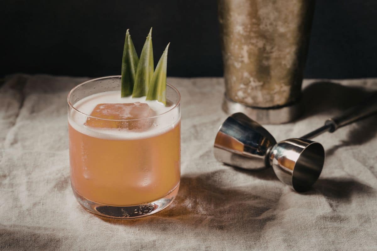 10 Classic Greyhound Cocktail Recipe Twists Worth Trying - Foodiosity