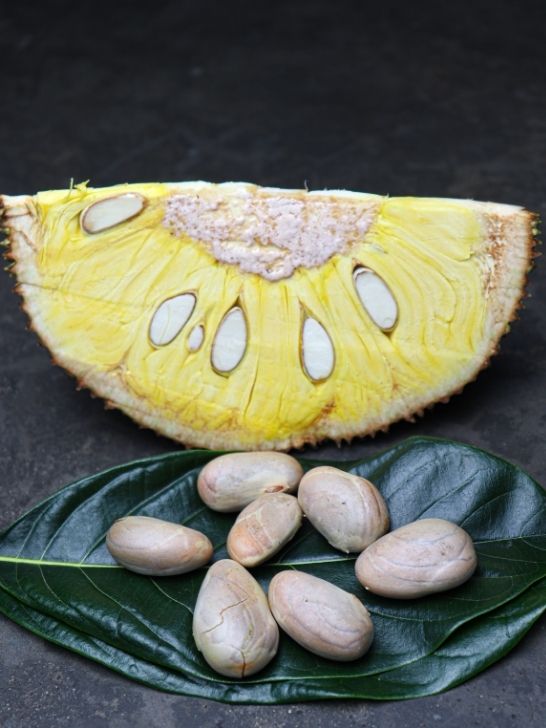 Brazil Nuts and Jackfruit Seeds Are Same? The Real Truth - Foodiosity