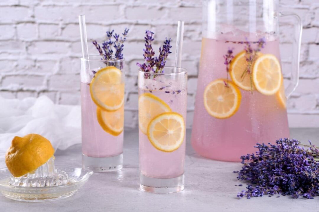 12 Best Lavender Mocktail Recipe for Parties & Relaxing - Foodiosity